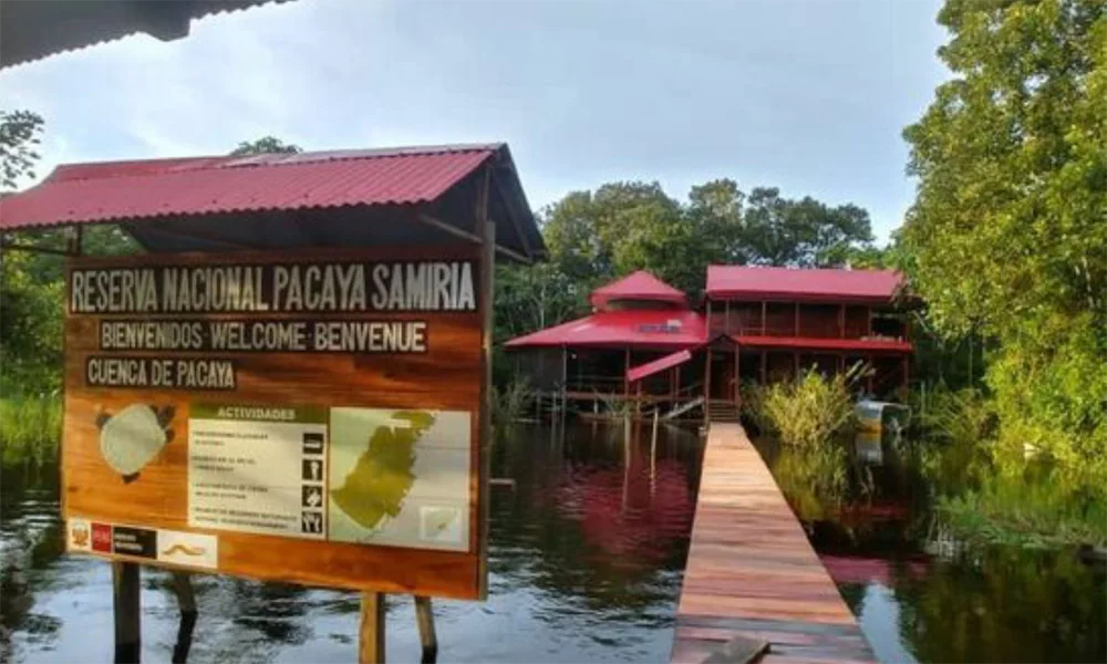 Full Day a Pacaya Samiria | Navegación, Fauna y Bosque Inundado ...