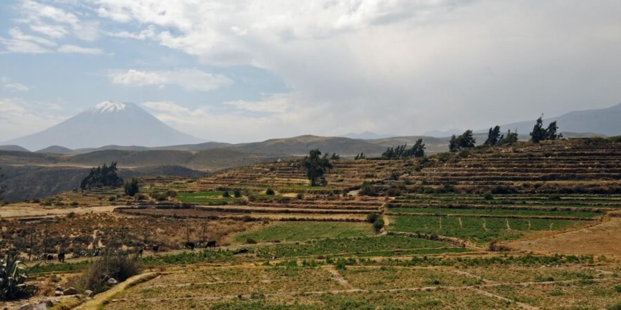 Pocsi Arequipa: Guía Completa de Turismo Rural y Cultura Exploor Trip